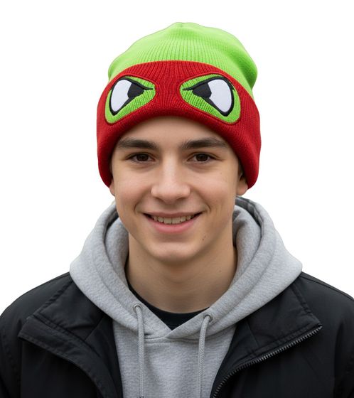 Teenage Mutant Ninja Turtles Beanie, Knit Beanie, Fan Item KC07Q, Green ...